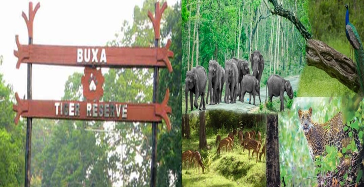 Buxa Tiger Reserve - Sanskriti IAS