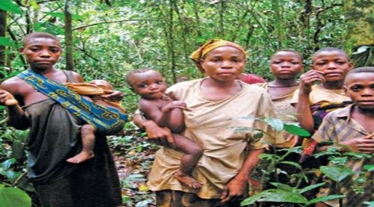 Pygmy Tribe - Sanskriti IAS