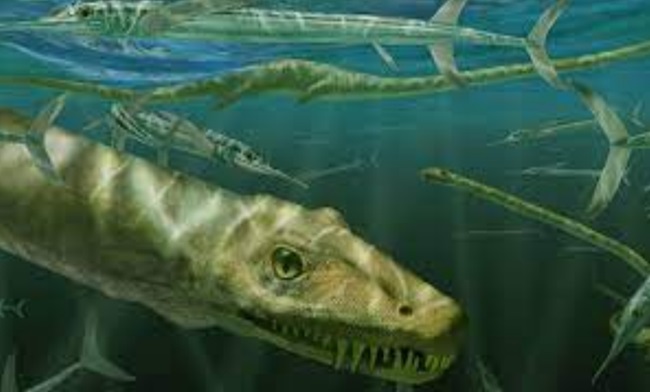 Ancient 'Chinese Dragon' discovered - Sanskriti IAS