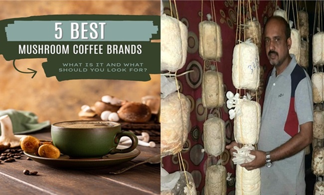 Kerala first La Bae brand mushroom coffee - Sanskriti IAS