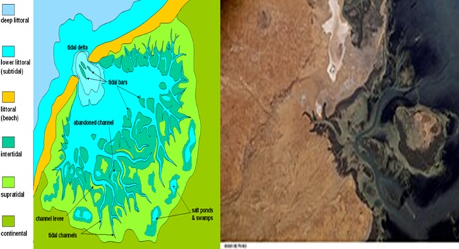 Kadalundi Mudflat - Sanskriti IAS