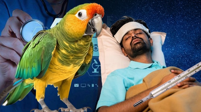 Psittacosis - Sanskriti IAS