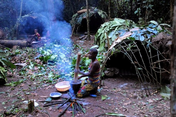 Pygmy Tribe - Sanskriti IAS