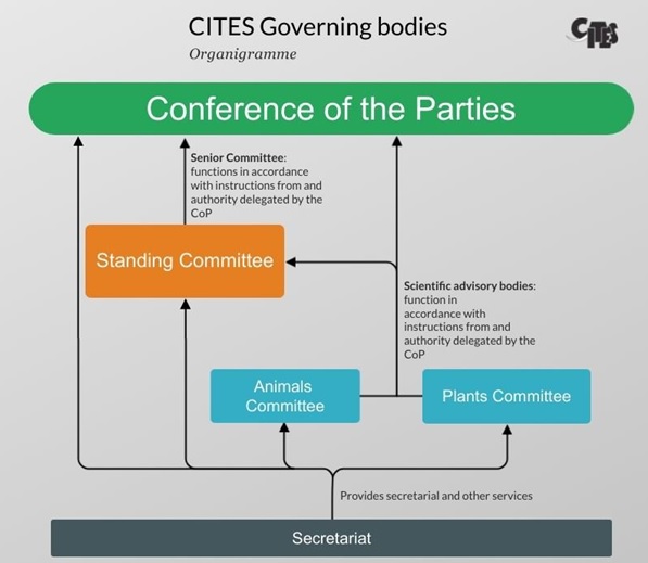 CITES database of smuggling of red sanders - Sanskriit IAS - Sanskriti IAS