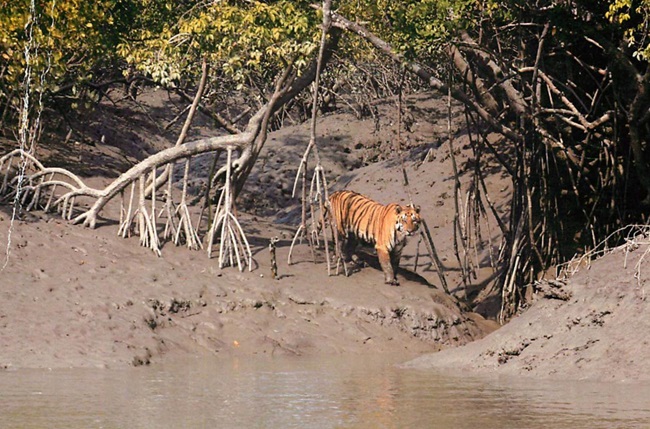 UNESCO World Heritage Sites in India - Sanskriti IAS