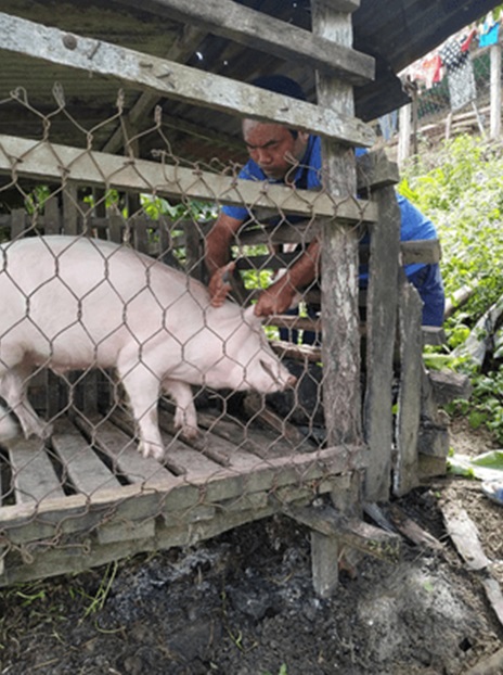 AFRICAN SWINE FEVER OUTBREAK IN ASSAM - Sanskriti IAS