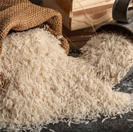 basmati rice - Sanskriti IAS