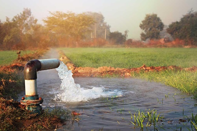 Expansion of irrigated land to more than half in water stressed areas ...