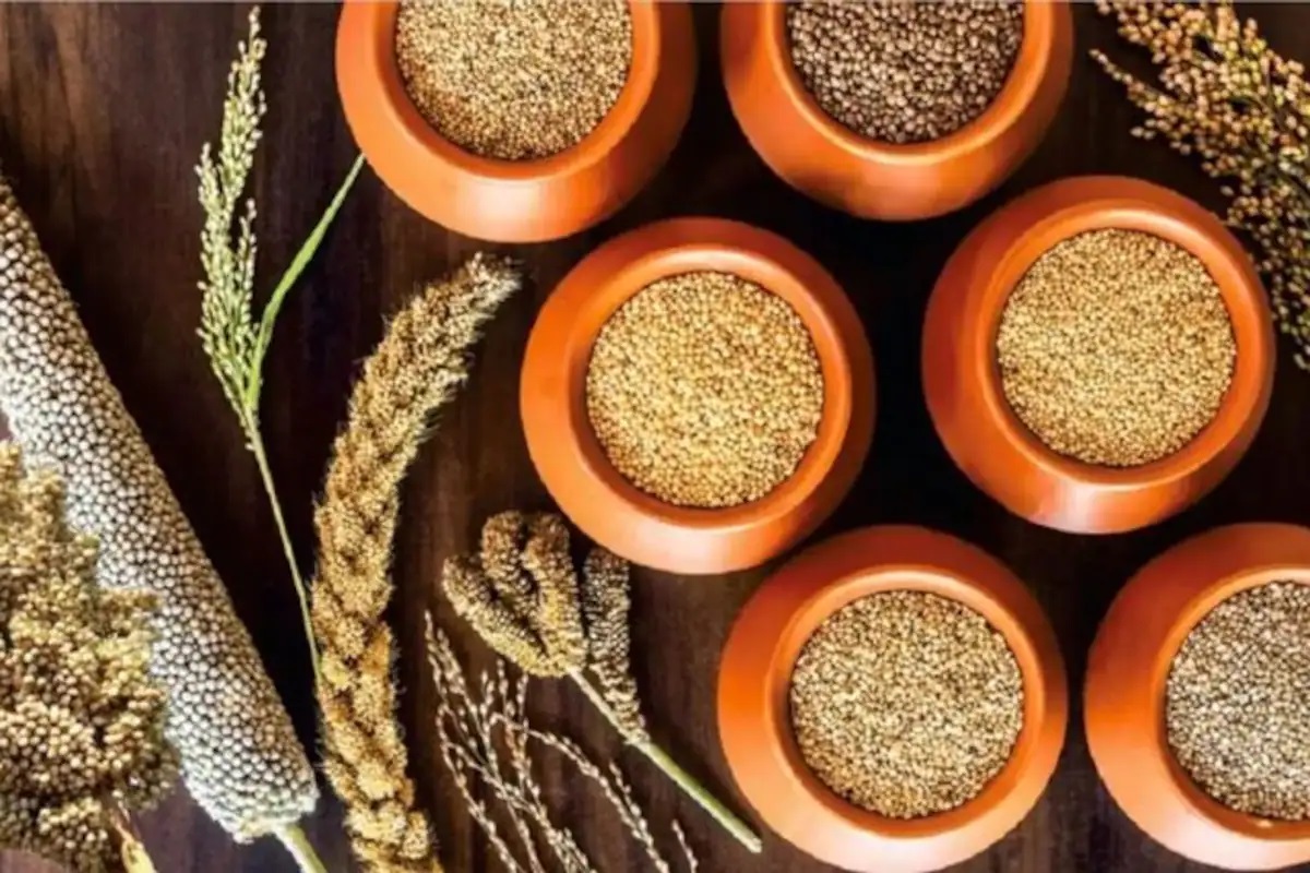What is Shree Anna, Millets or Superfood? Characteristics, challenges ...
