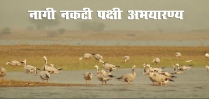 Nagi and Nakati Bird Sanctuary - Sanskriti IAS