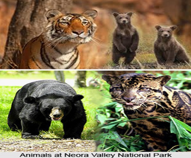 Neora Valley National Park - Sanskriti IAS