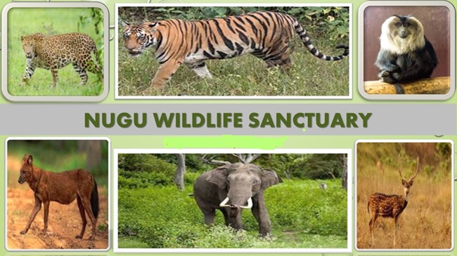 Nugu Wildlife Sanctuary - Sanskriti IAS
