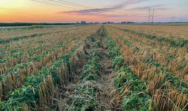 The Paira cropping system - Sanskriti IAS