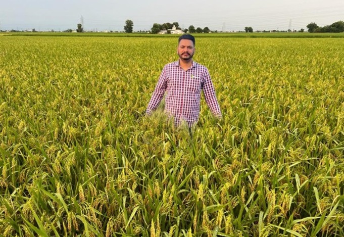 The Paira cropping system - Sanskriti IAS