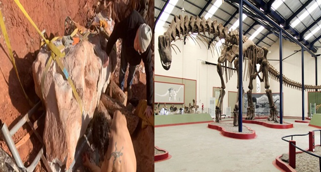 70 million year old titanosaur skeleton discovered in France ...