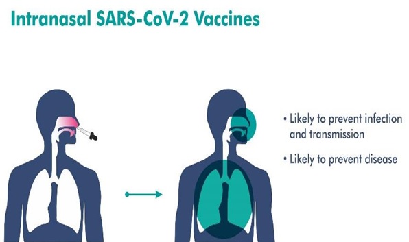 Intranasal Covid Vaccine iNCOVACC - Sanskriti IAS - Sanskriti IAS