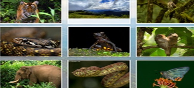 Conjoined Silverline - Sanskriti IAS